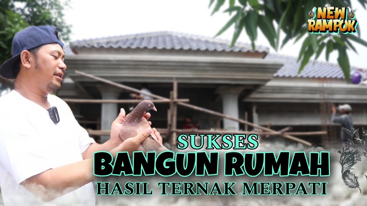 BPK BUDY SUKSES BANGUN RUMAH HASIL DARI JUALAN BURUNG MERPATI - NEW ...