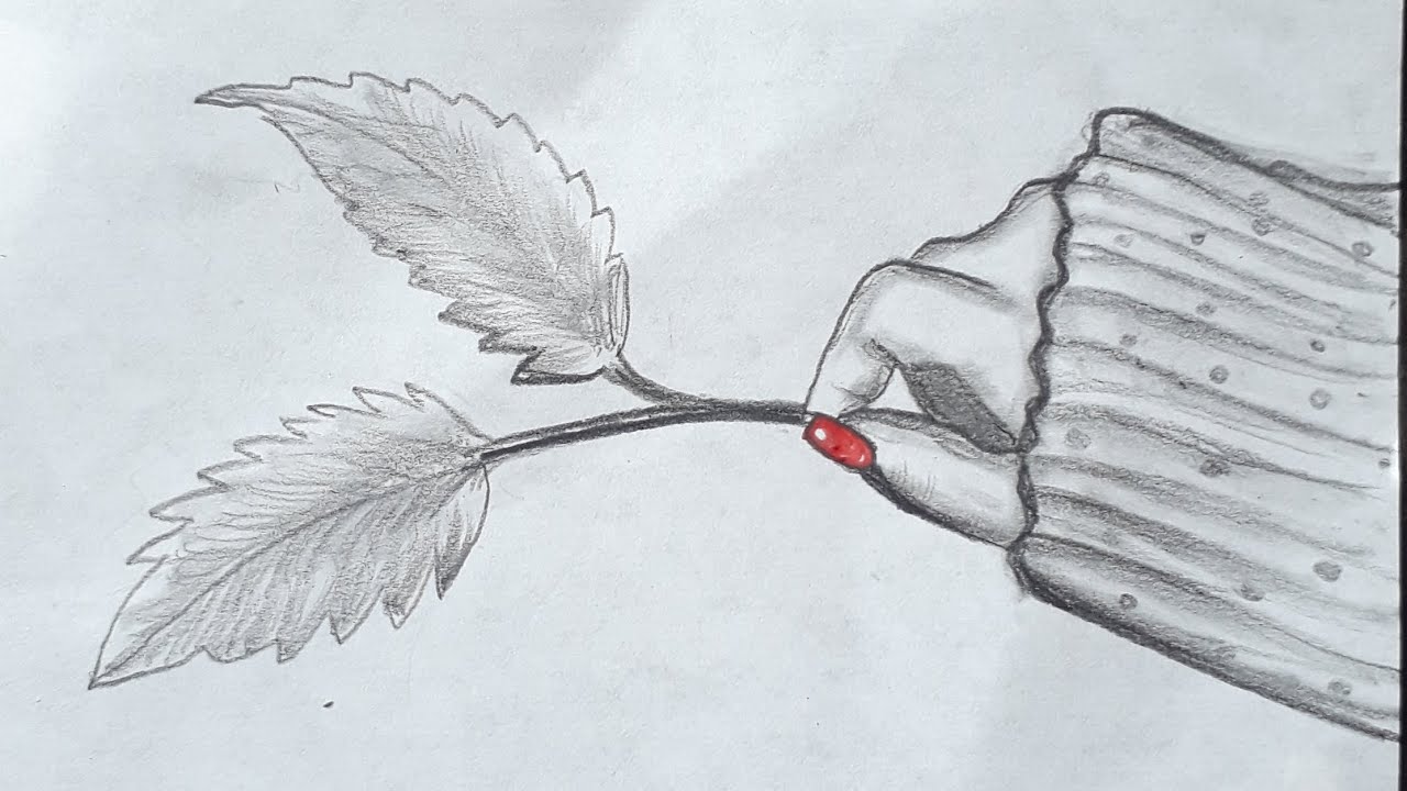 how to draw a girl hand step by step holding leaves || pencil drawing ...
