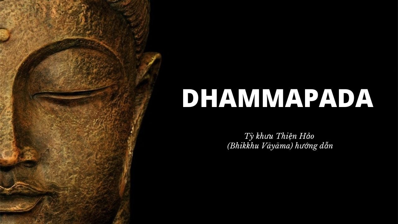 Lớp Kinh Pháp Cú Dhammapada Pali - Câu 51-52-53 - Sư Thiện Hảo Giảng Dạy - YouTube