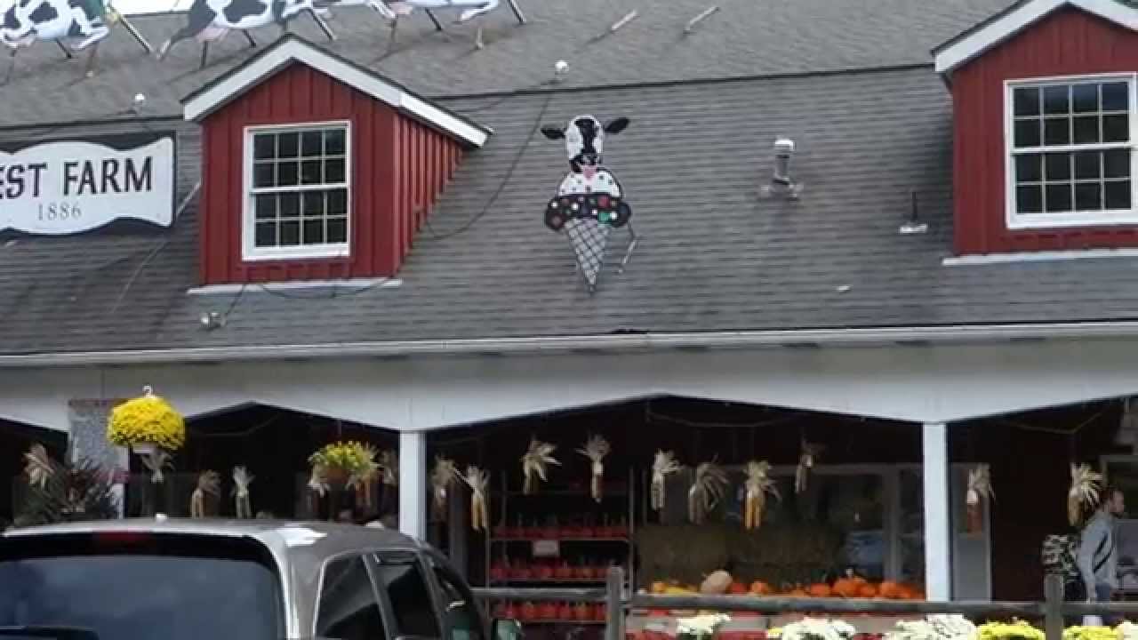 Demarest Farm Trip & Caramel Apple Recipe - YouTube