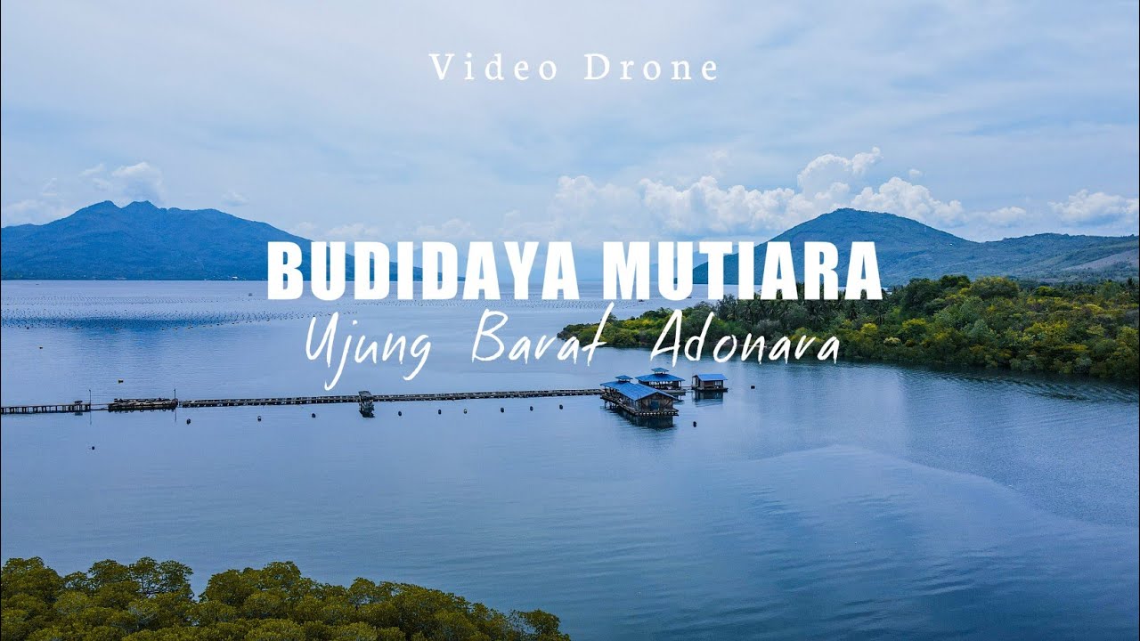 BUDIDAYA MUTIARA DI UJUNG BARAT ADONARA || Video Drone - YouTube