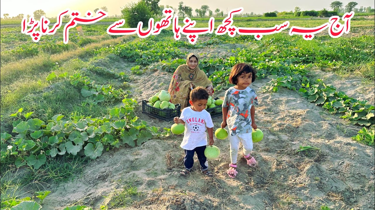 village life in pakistan I village woman besy day routine IHappy joint ...