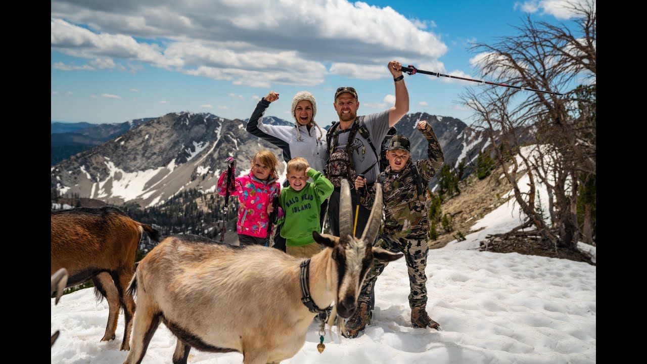 Pack Goat Trips - YouTube