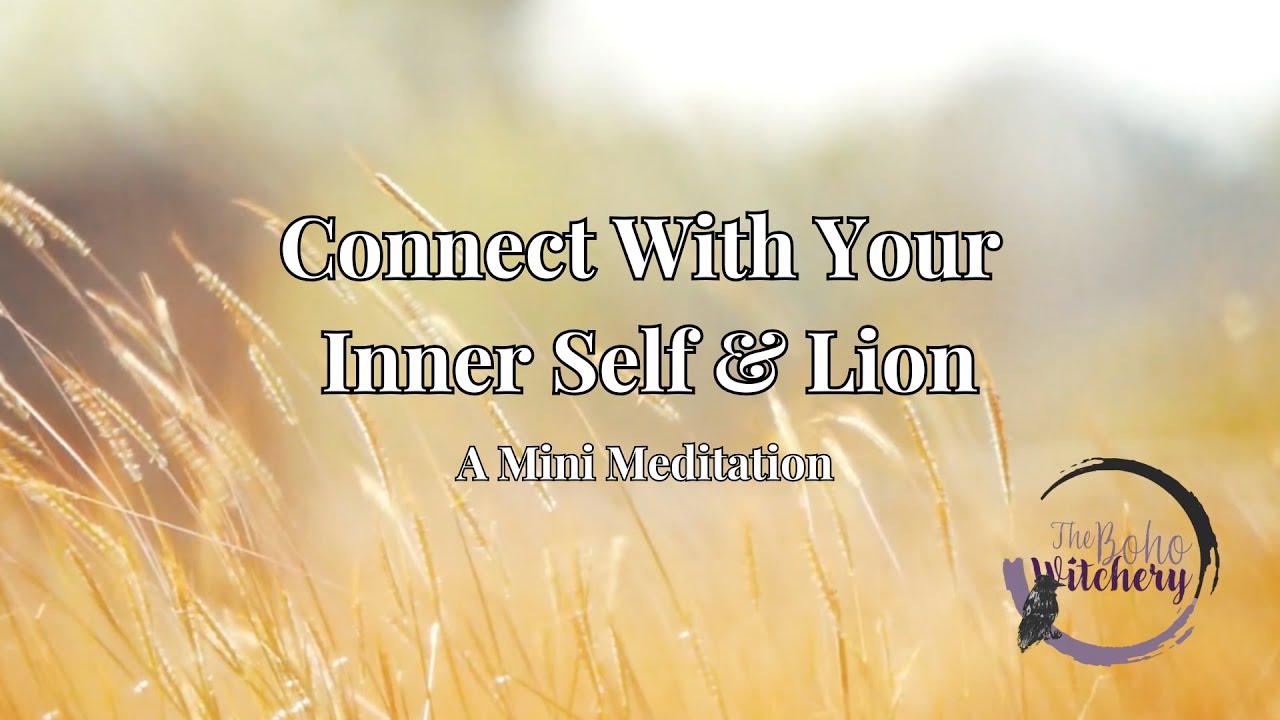 Connect With Your Inner Lion Meditation - YouTube