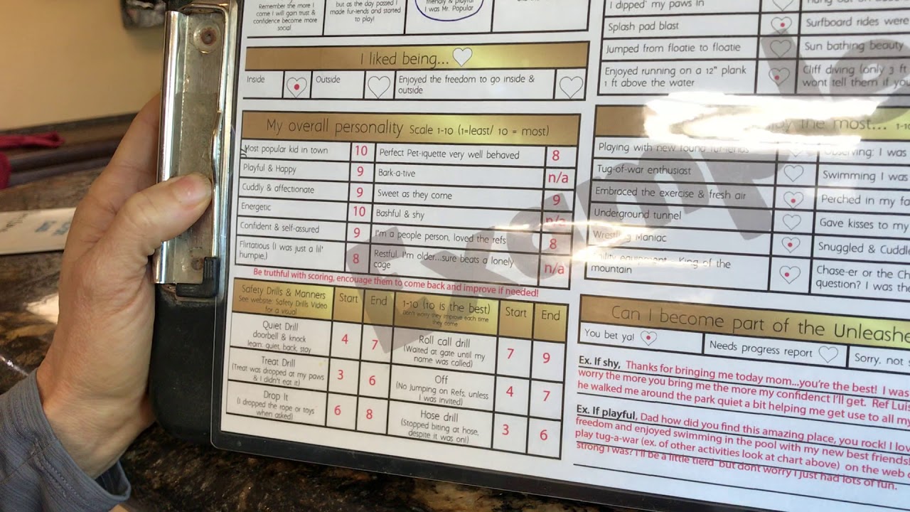 Filling out report cards - YouTube