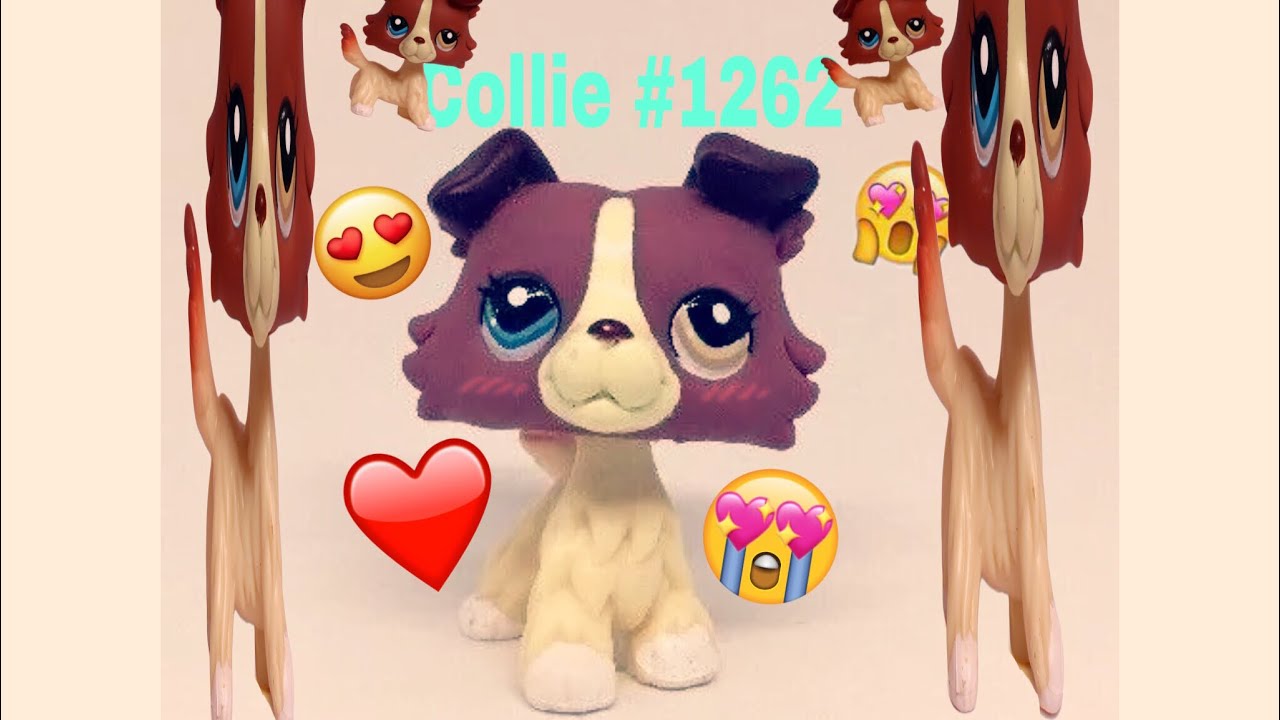 I’m getting Collie #1262!!!! - YouTube