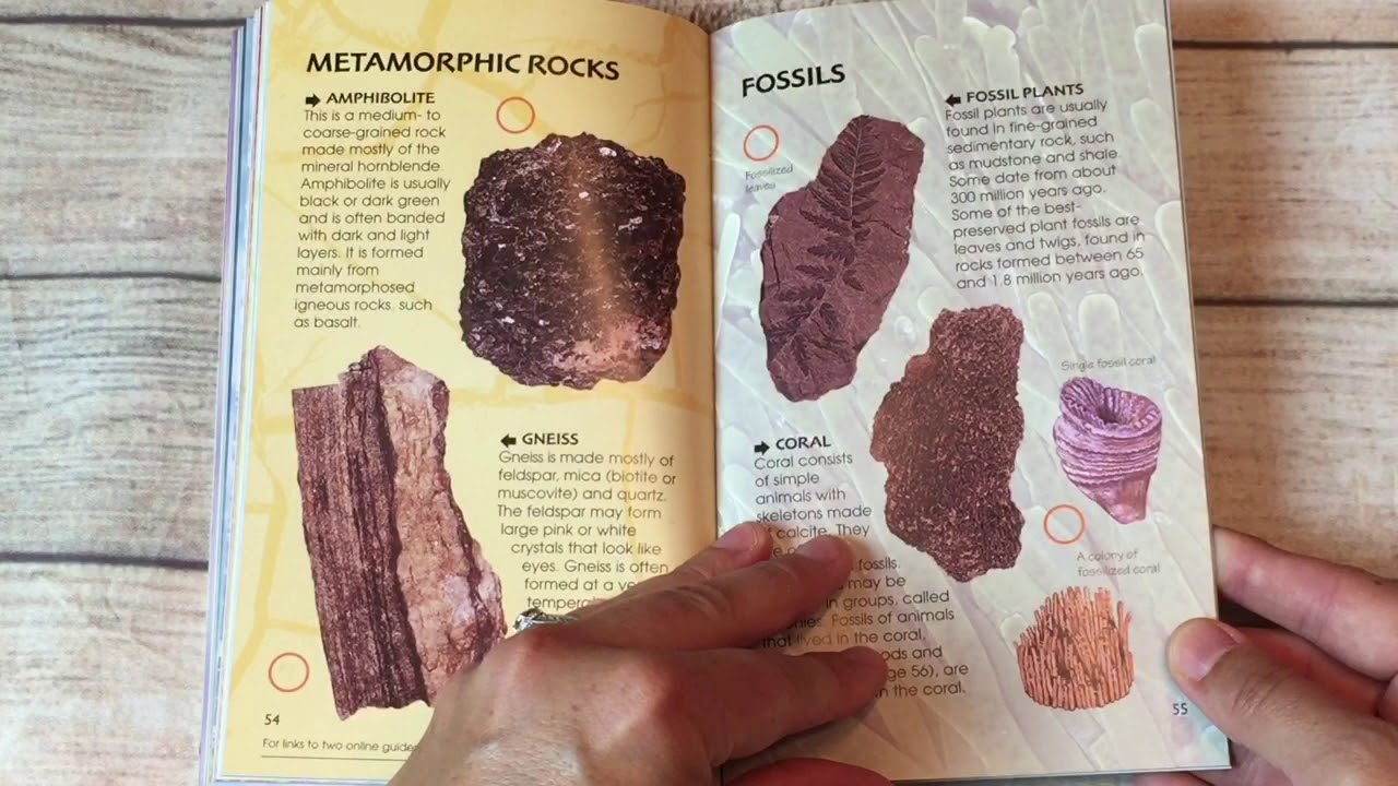 A Look Inside The Usborne Spotter's Guides Rocks and Minerals Book ...