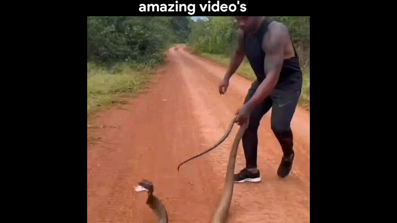 amazing videos #facts #shorts #viral mr gyani fact | Facttezz | it's Fact - YouTube