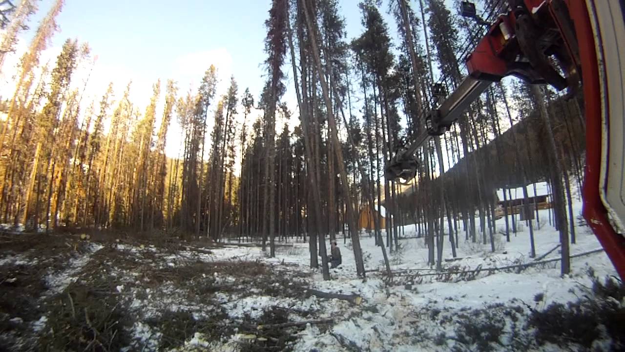 logging with gopro camera - YouTube
