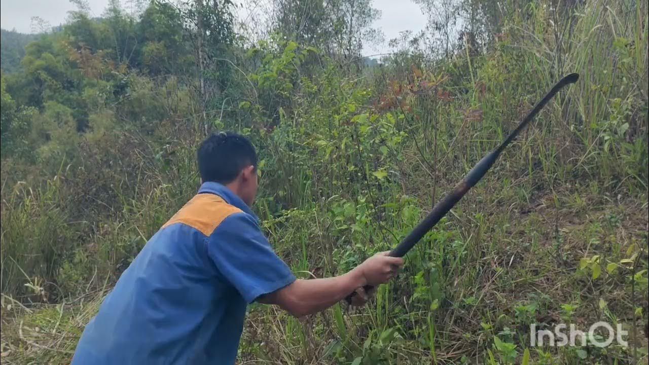 Peb mus luaj teb cos qos ntoo - YouTube