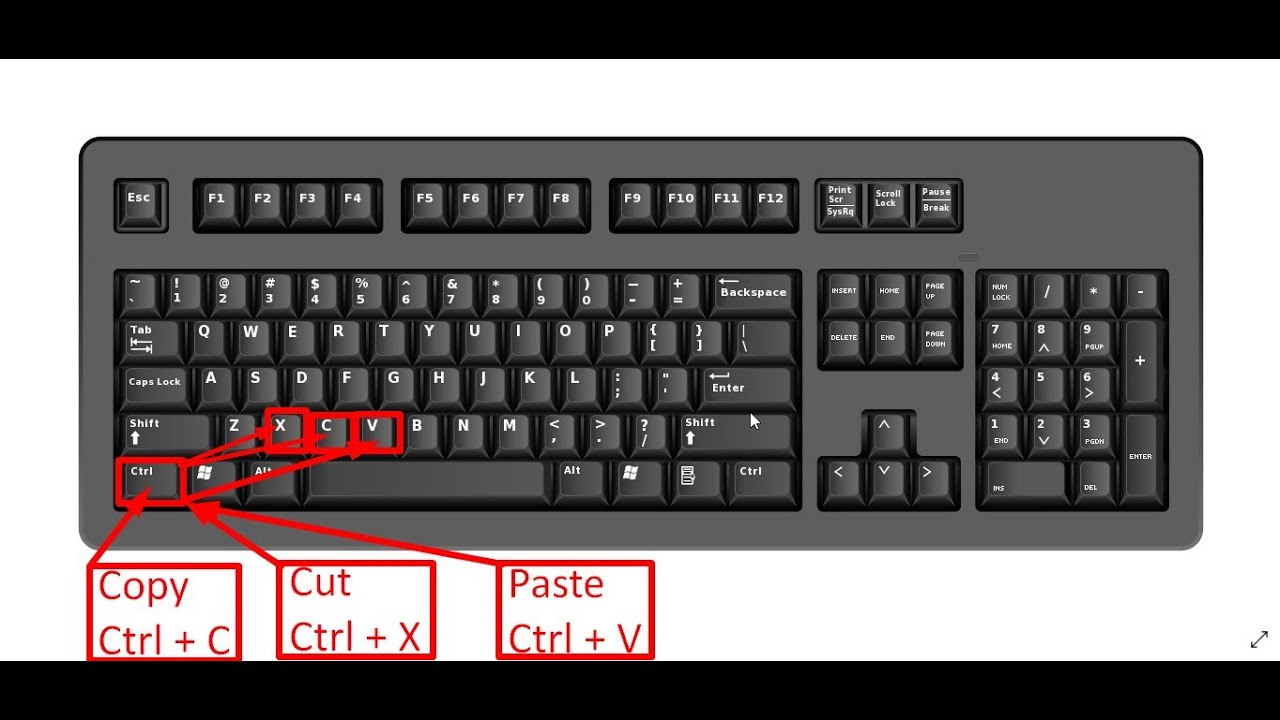 Cut Copy Paste Keyboard Shortcut - YouTube