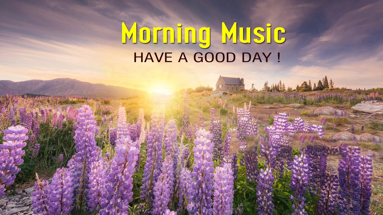 Good Morning Music Happy and Positive Energy 🌞Background Music for ...