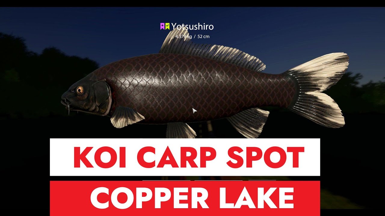 RUSSIAN FISHING 4 - COPPER LAKE - KOI CARP SPOT - YouTube