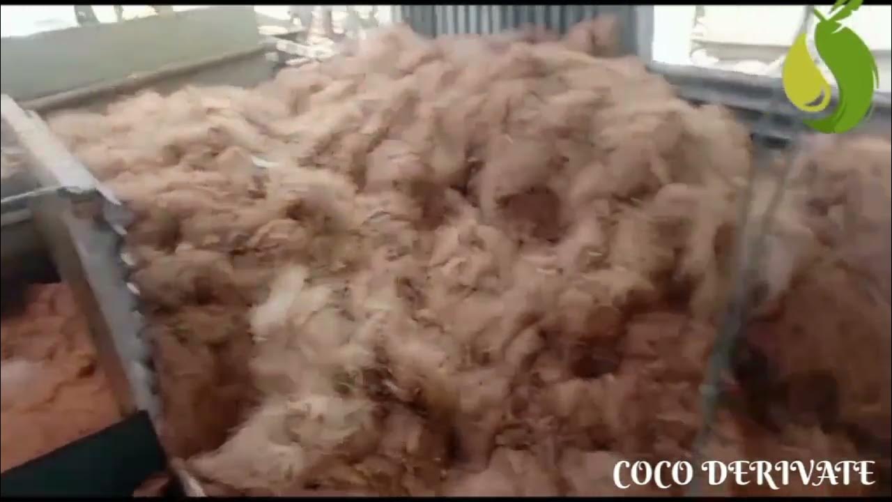 Produksi Coco Bristle, Coco Fiber, dan Coco Peat - YouTube