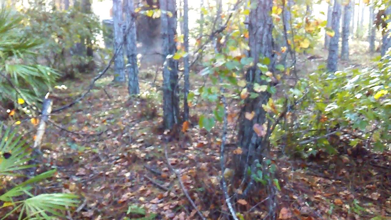 Robert Popwell(1) - YouTube