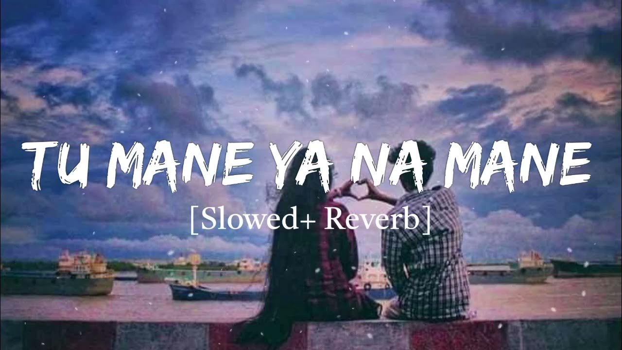 Tu Mane Ya Na Mane Dildara Lofi Song Rab Maneya Lofi Song Slowed