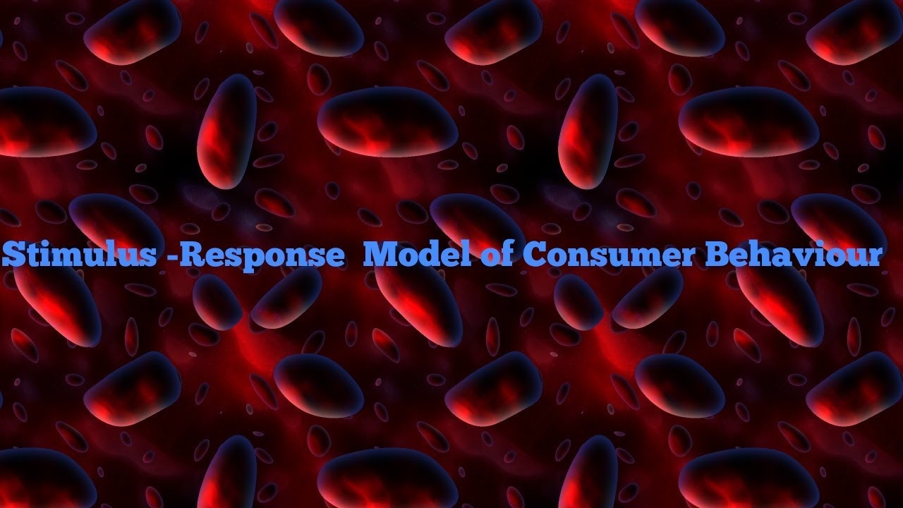 Stimulus Response Model of Consumer Behaviour. - YouTube