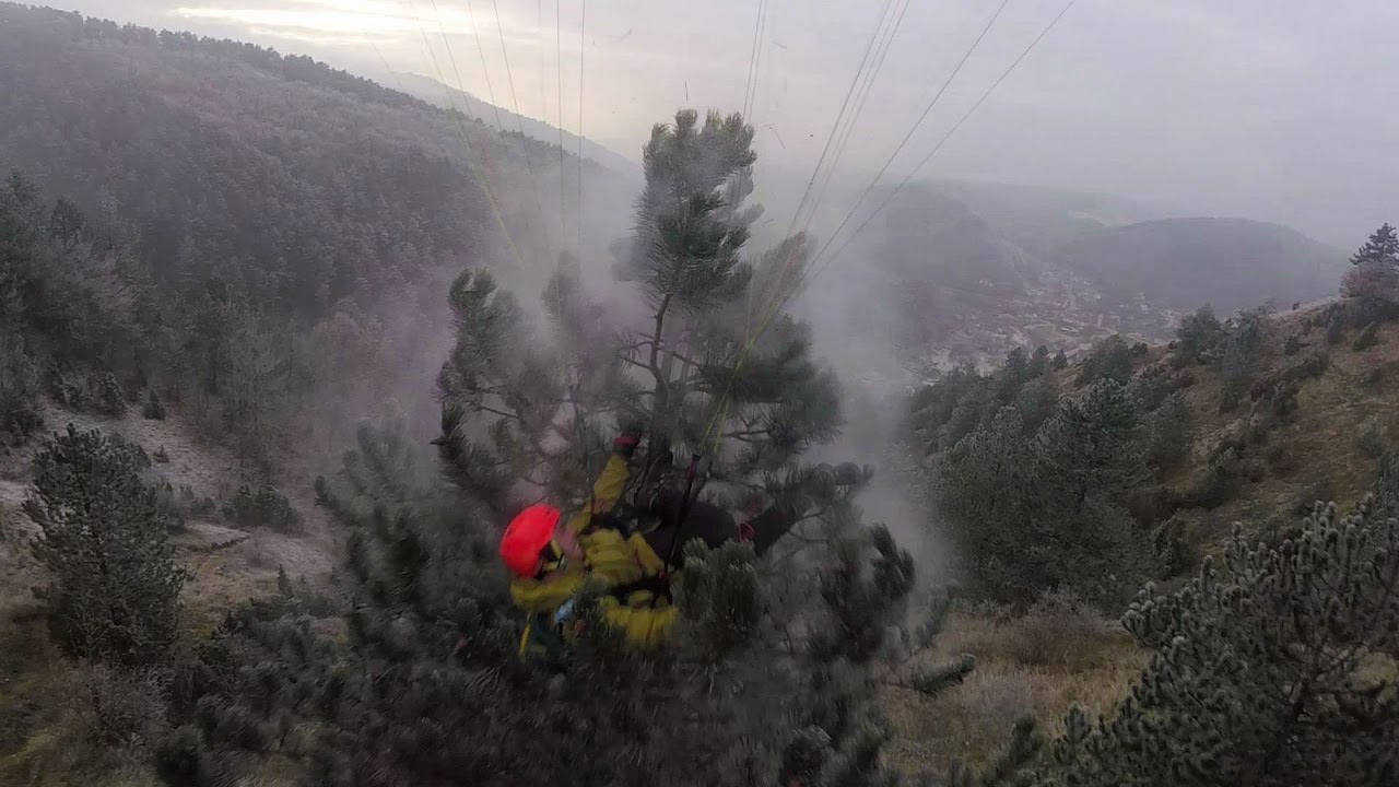 My first and hopefully last tree landing. - YouTube