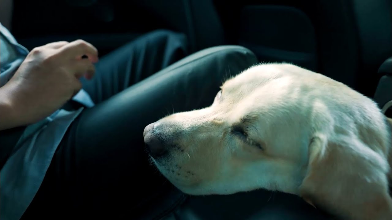 Blind Man’s First Self-Driving Ride - YouTube