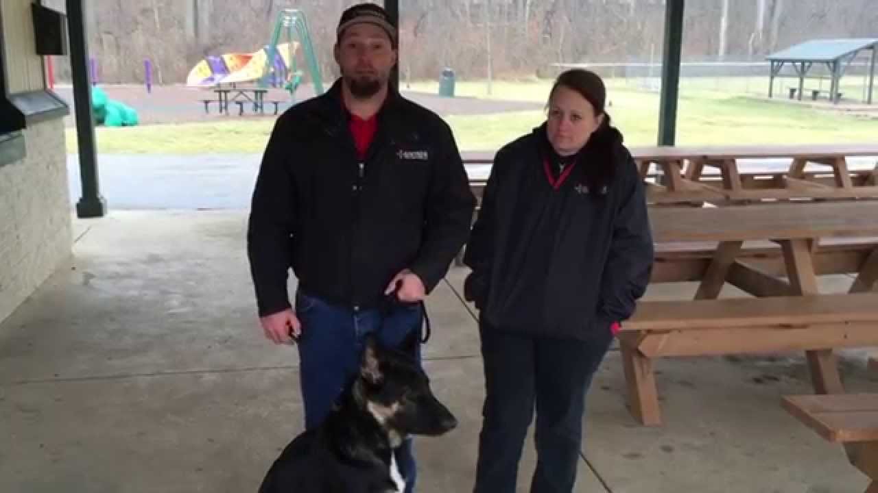 Dog Training: Client Testimonial, Titan! - YouTube