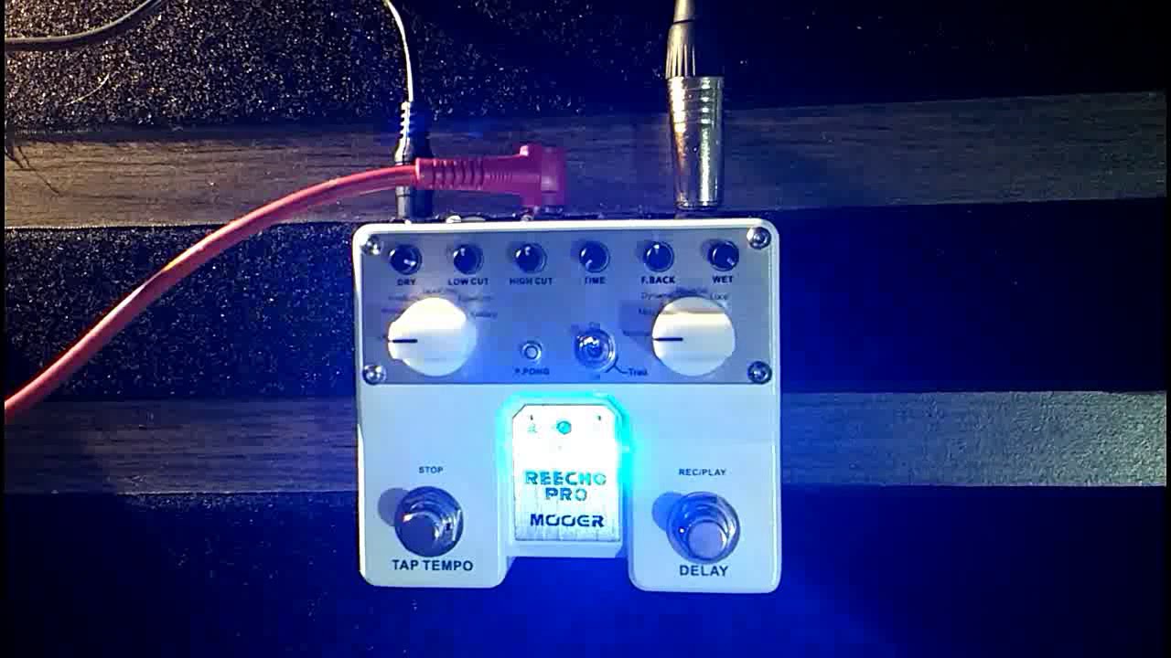 Mooer Reecho - Pro Pedal Delay - YouTube