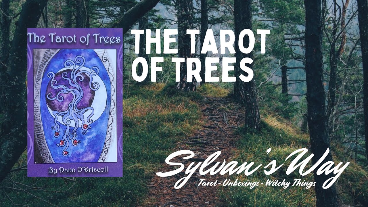 The Tarot of Trees | Deck Review | Playing with Pairs - YouTube
