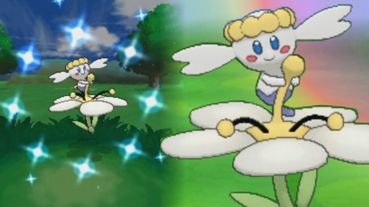 Flabébé shiny blanc en 1/4096 ! Le Flabébé à 1% d'apparition sur la ...