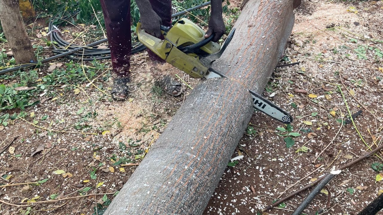 Chain Saw in Operation | Stock Footage - YouTube