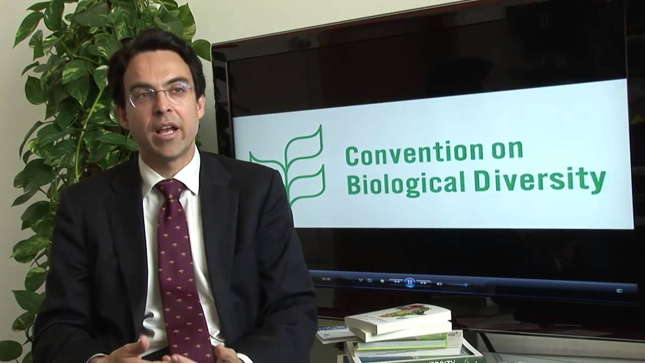 Shakeel Bhatti on the collaboration with the Convention on Biological ...
