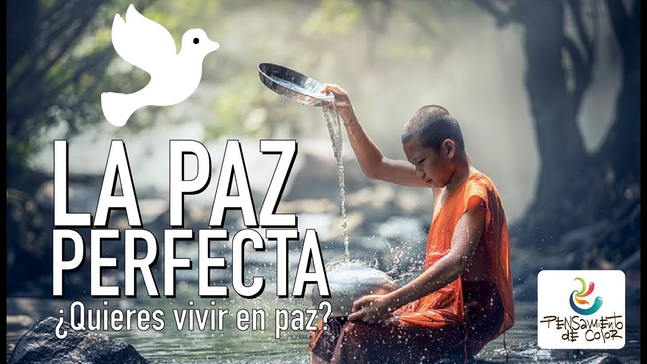 ¿Qué Significa Para Ti La Paz? – AQAN