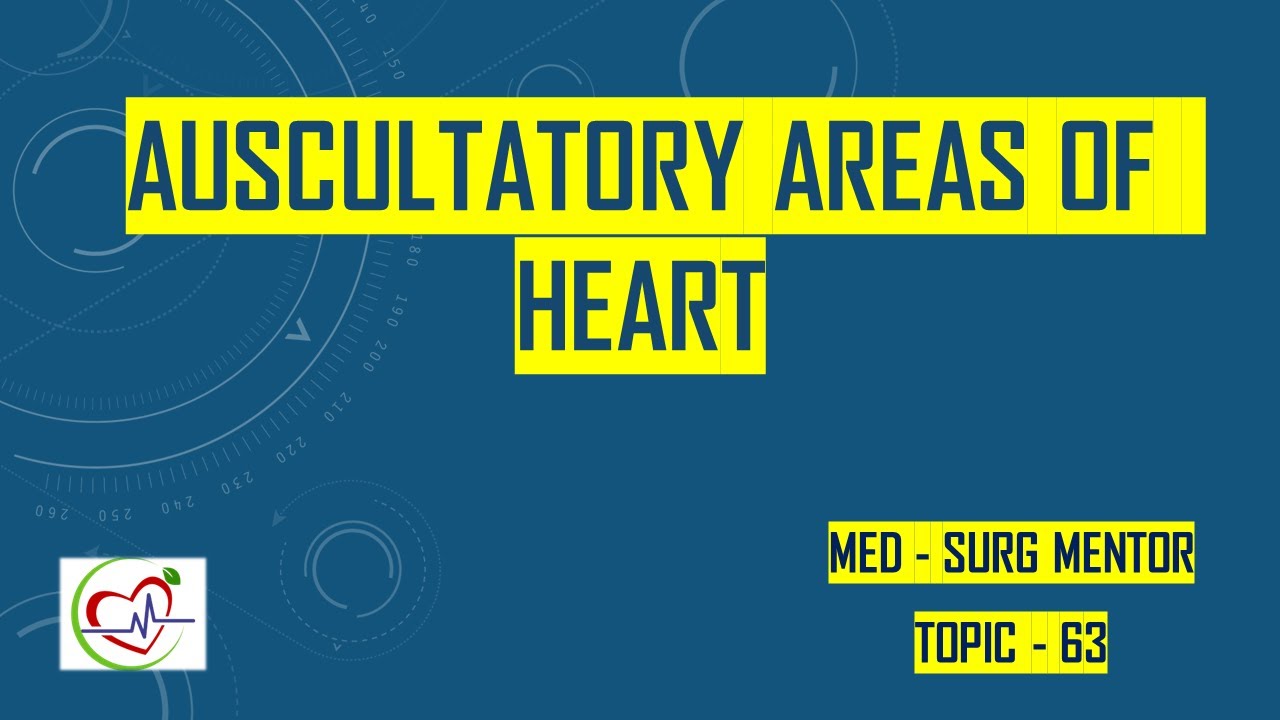 Auscultatory areas of heart / Cardiac landmarks #medsurgmentor - YouTube