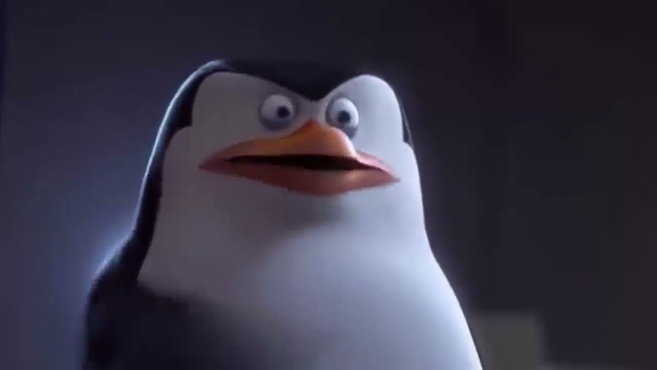 Yo Fabrico Mis Propias Opciones | Meme Plantilla - YouTube