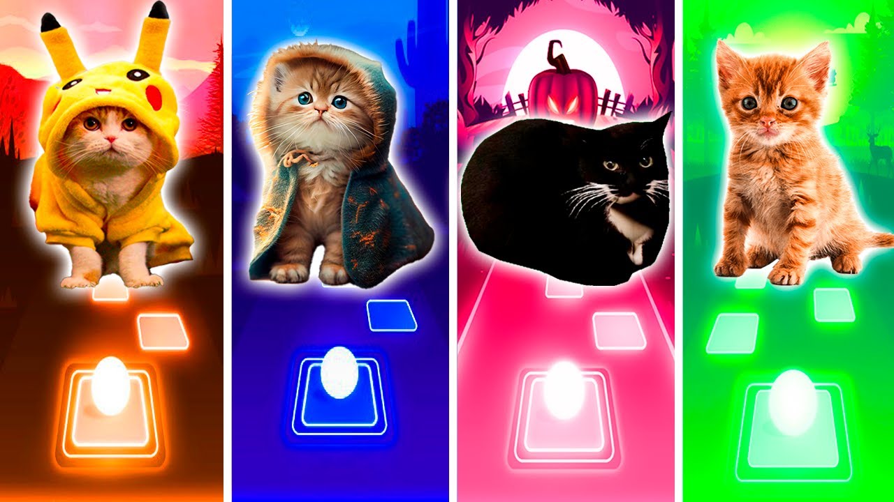 Cute Cats: Harry Styles As It Was vs Bloody Mary vs Maxwell Cat vs Haya ...