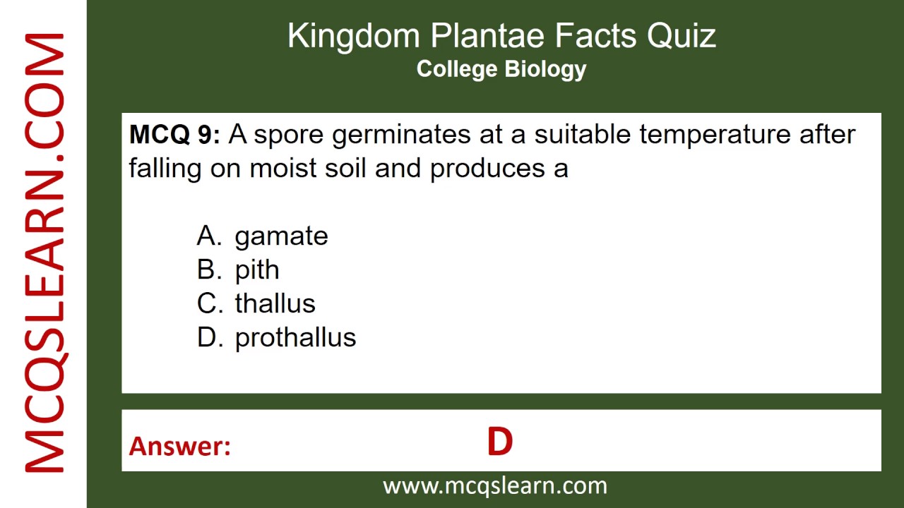 Kingdom Plantae Quiz Questions Answers PDF | Kingdom Plantae Class 11 ...