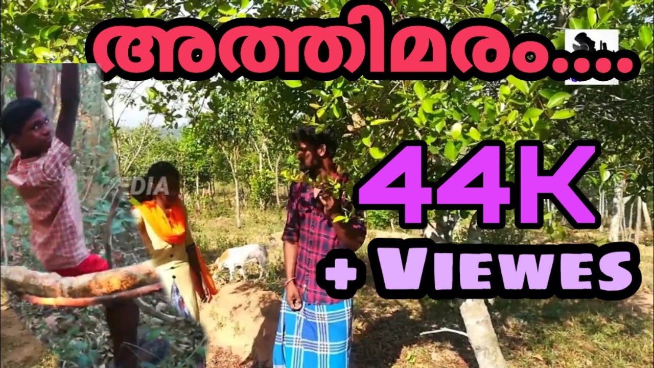 Athimaram.... TRIBAL ALBUM - YouTube