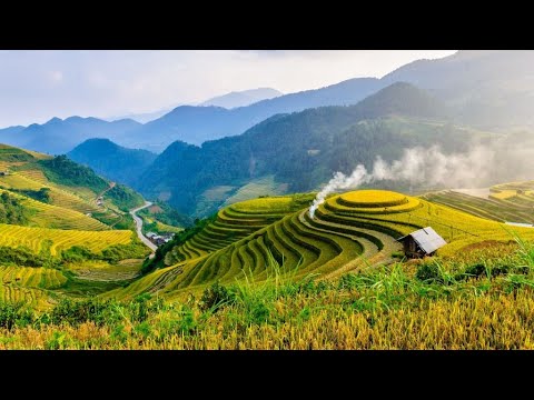 Jemu&fati tube on the live #Argwade's appearance #moment - YouTube