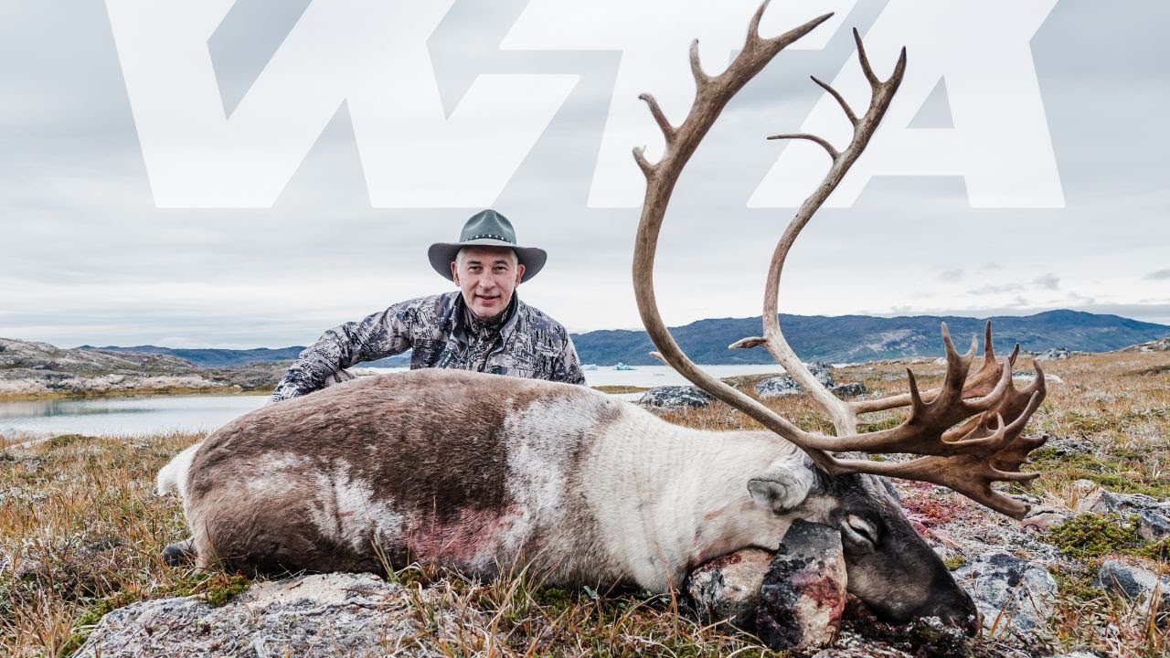 Greenland Reindeer Episode 2 | Worldwide Trophy Adventures - YouTube