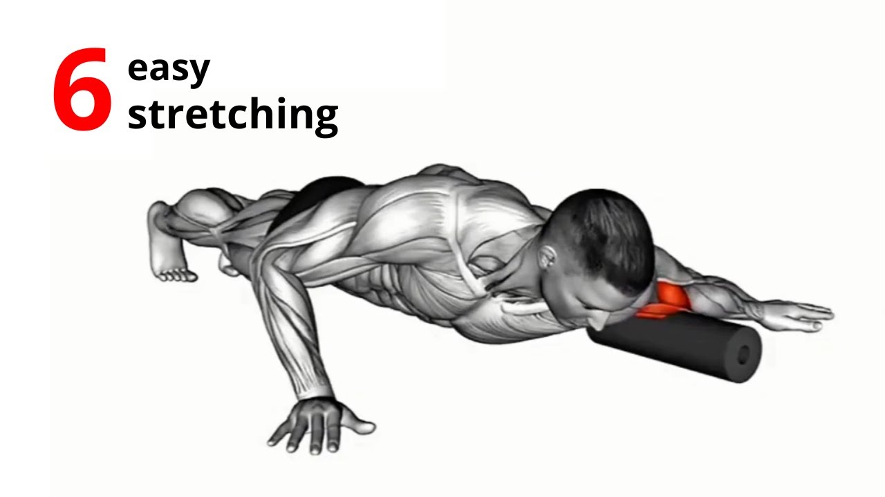 6 Best Bicep And Tricep Stretches for a Pain-Free Morning - YouTube
