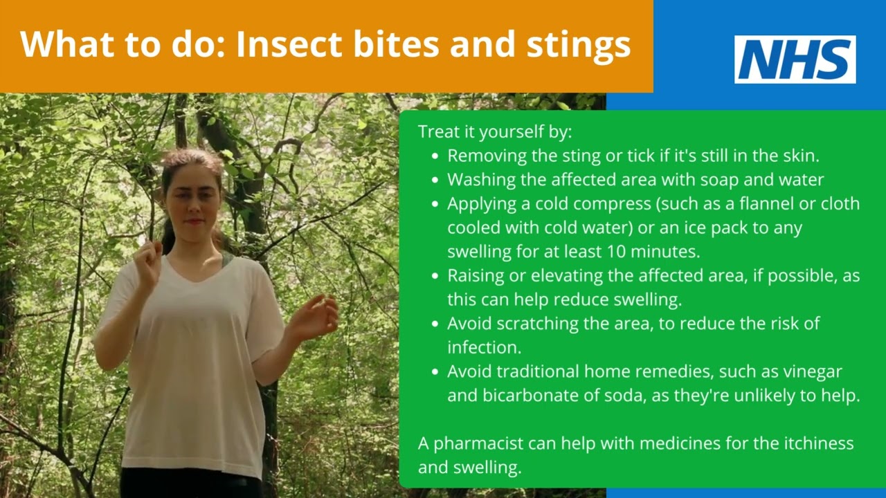Self care Insect bites and stings - YouTube