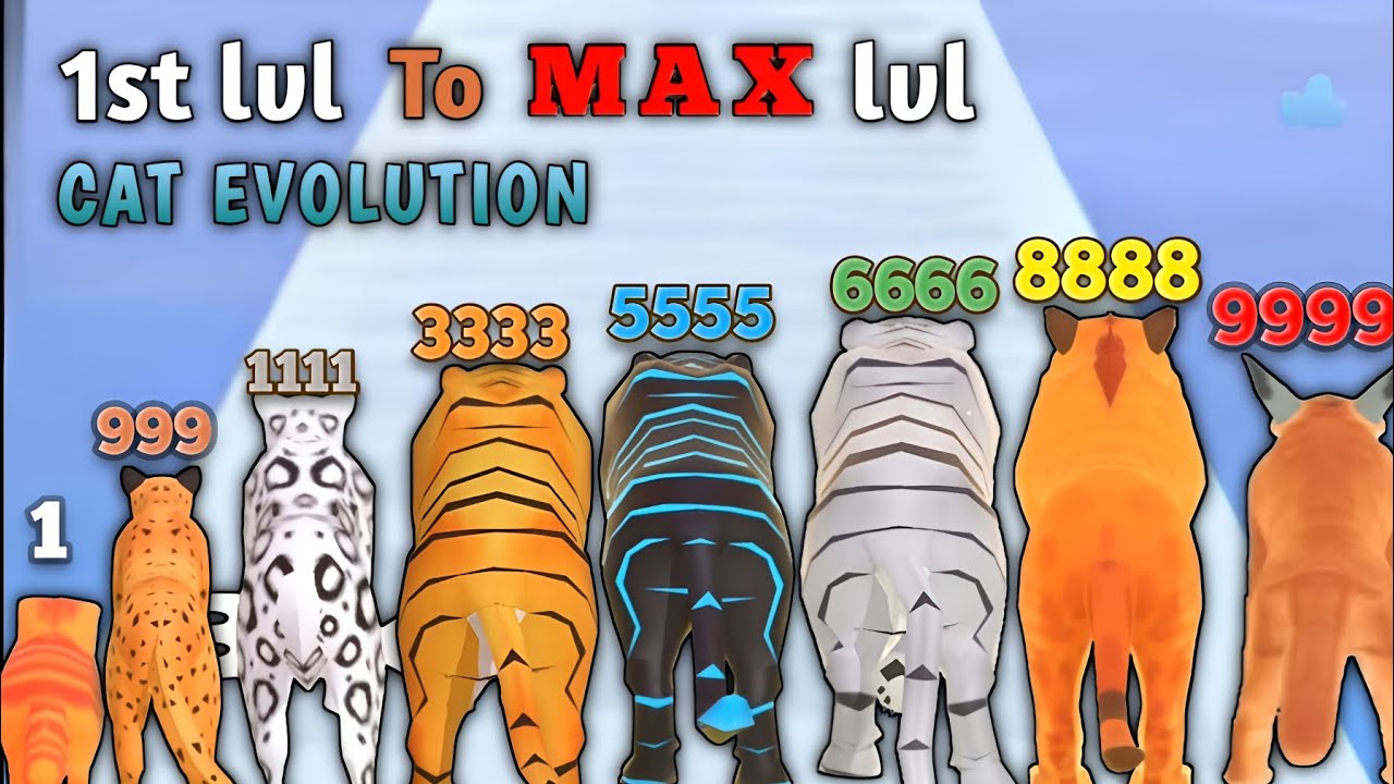 LEVEL UP CAT EVOLUTION || 1st level To 9999 level (MAX LEVEL) || - YouTube