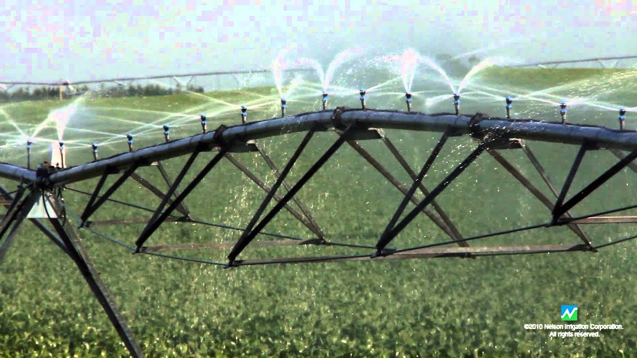 Growing Corn with Nelson Irrigation's White Plate Rotator on a Center ...