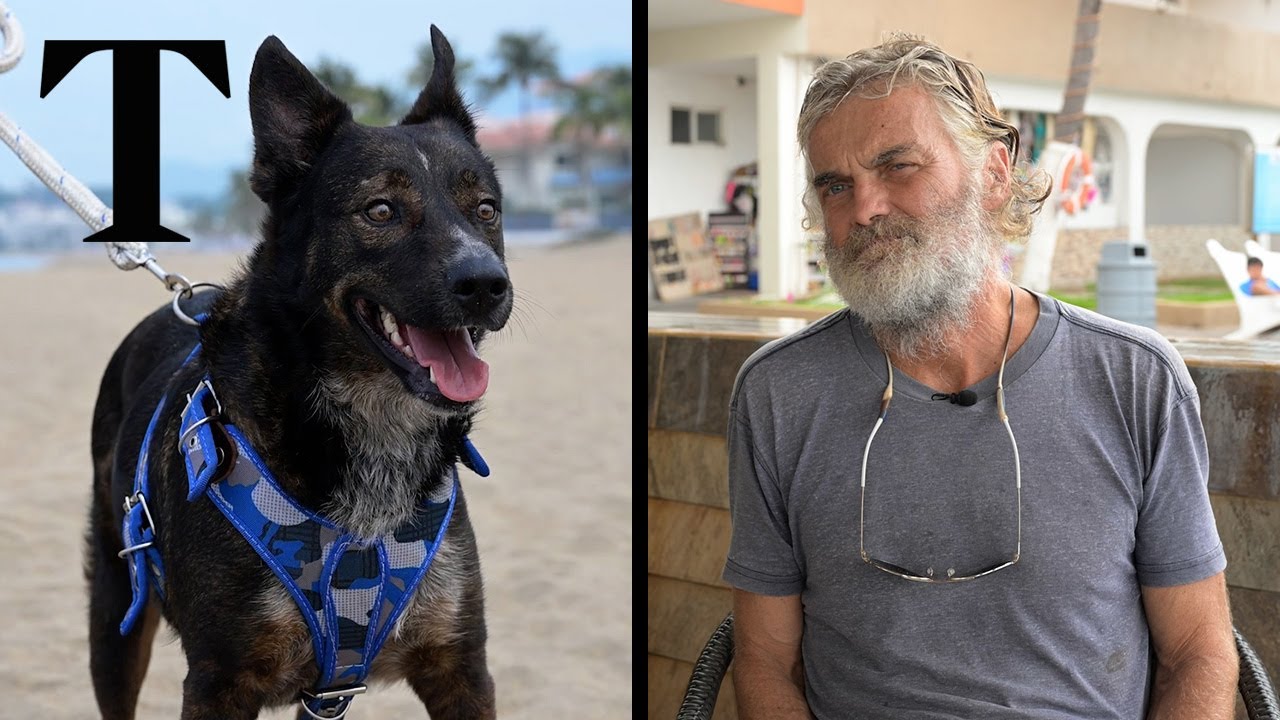 Australian castaway: what now for his dog Bella? - YouTube