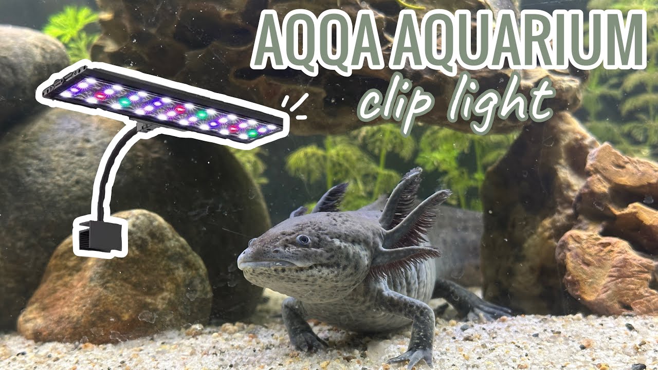 Unbox and Review the AQQA Aquarium Light Clip for Fish Tanks - YouTube