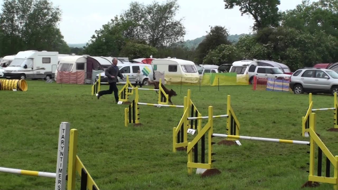 Red Quad Paws - YouTube