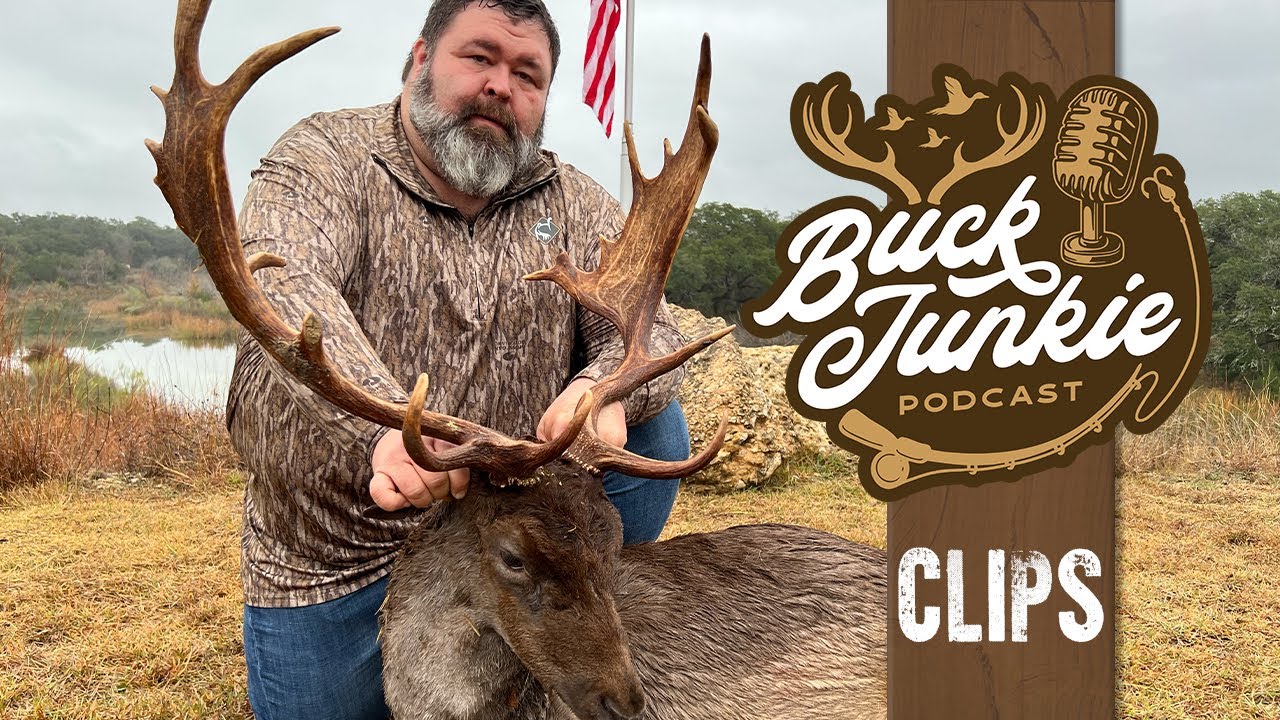 Hunting Big Fallow Deer in Texas | Buck Junkies Podcast Clips - YouTube
