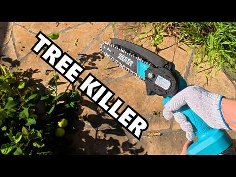 Mini Chainsaw Makes Quick Work of Lemon Tree