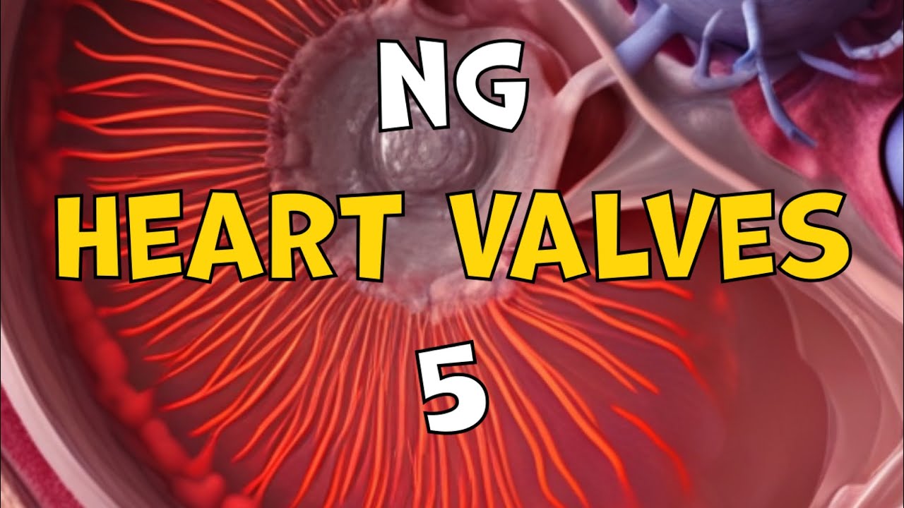 Heart Valves Explained - YouTube