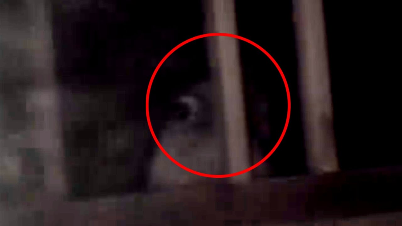 Fantomele Care Bantuie Lumea - YouTube