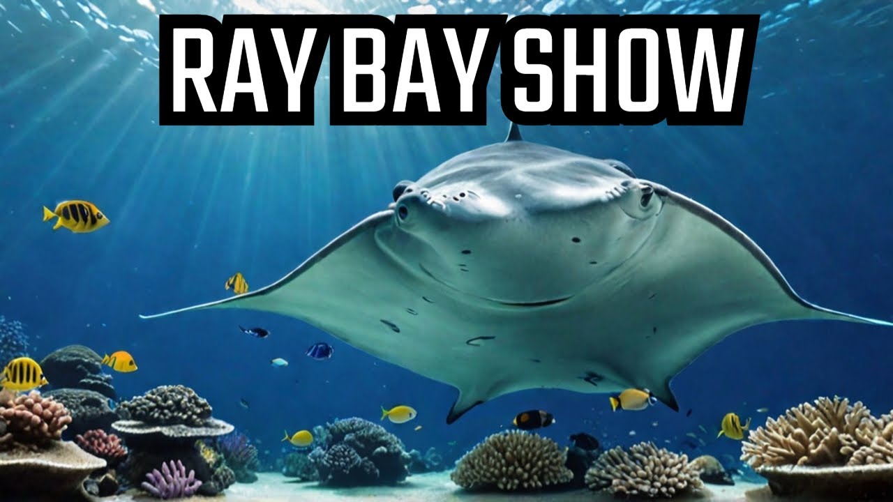 🌊🐠 Ripley's Aquarium of Canada in Toronto - Ray Bay Dive Show 🐟🌊 -Fun ...