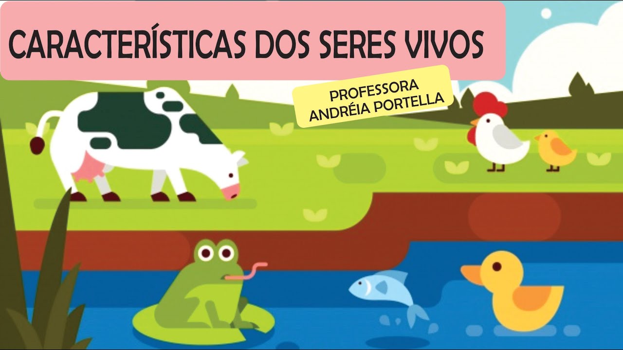 Características Gerais dos Seres Vivos - YouTube